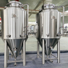 100L Fermentation Tank - Buy Fermentation tank, Conical fermenter ...
